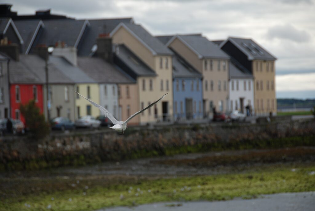 Emergency Numbers - Colleran Auctioneers & Insurance Brokers Galway
